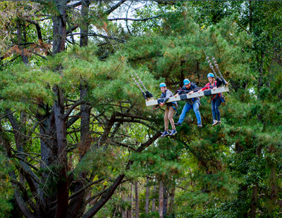 Adelaide Hills Adventure Hub - Discover More In The Adelaide Hills